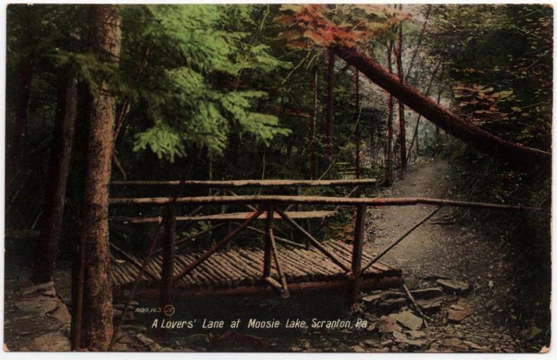 1907-15 Scranton PA A Lover's Lane at Moosic Lake Lackawanna Co RARE DB ...