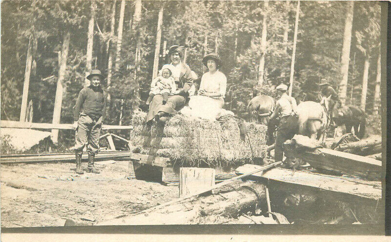 C-1910 Women hay bale sled horses RPPC Photo Postcard 22-10899 | Africa ...