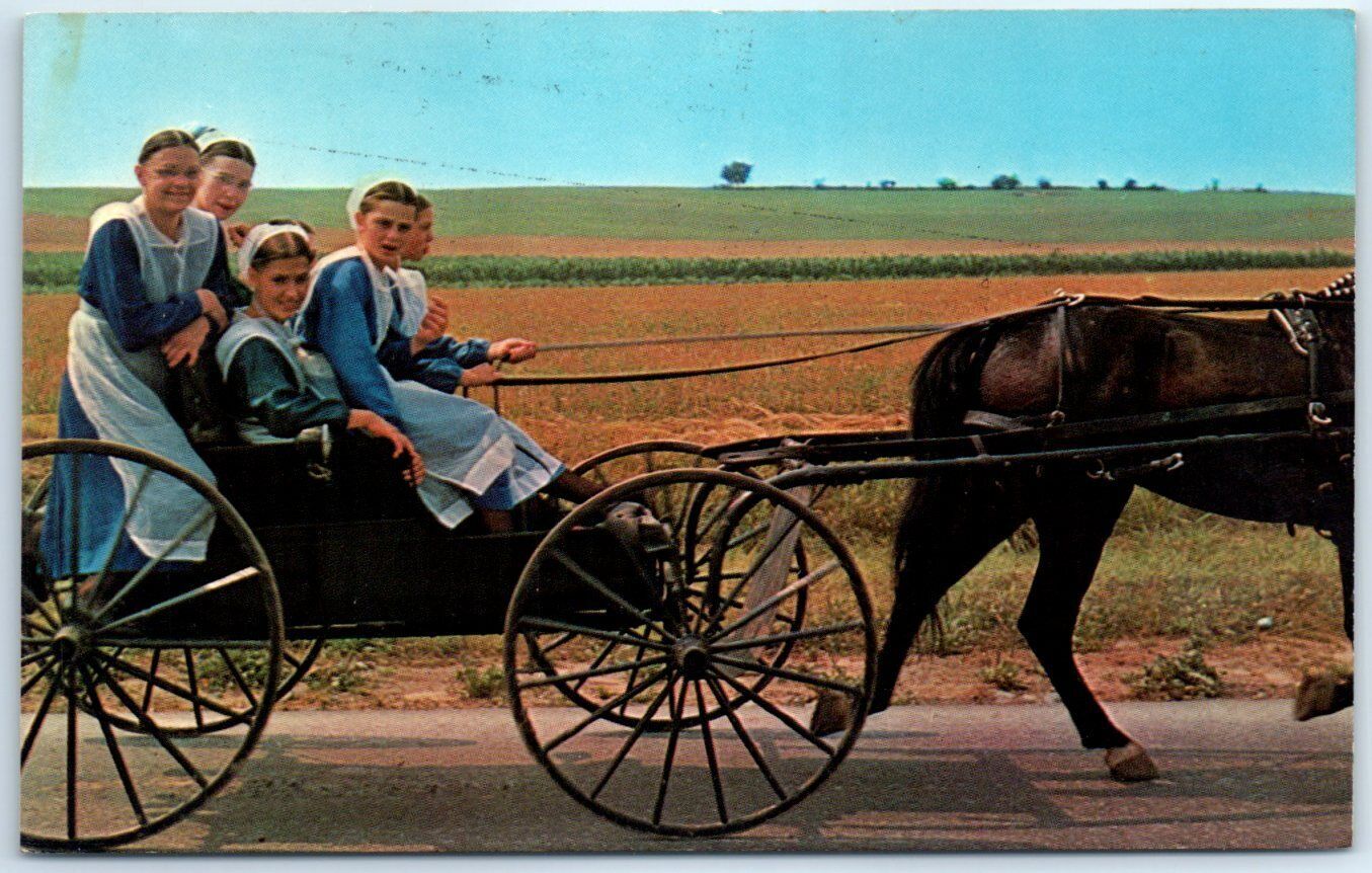 Amish girls in a buggy after church - Greetings From "The Amish Country ...