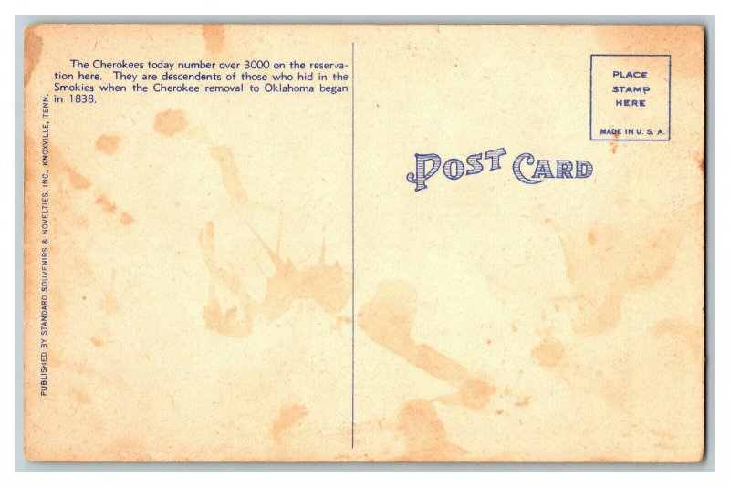 Cherokee Indians Cherokee Indian Reservation NC Vintage Standard View ...