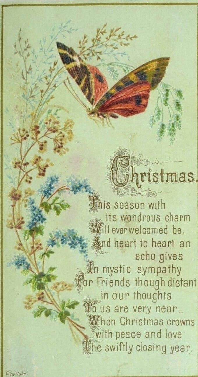 Embossed Barnard Sumner & Co. Christmas Card Poem Colorful Butterfly &B ...