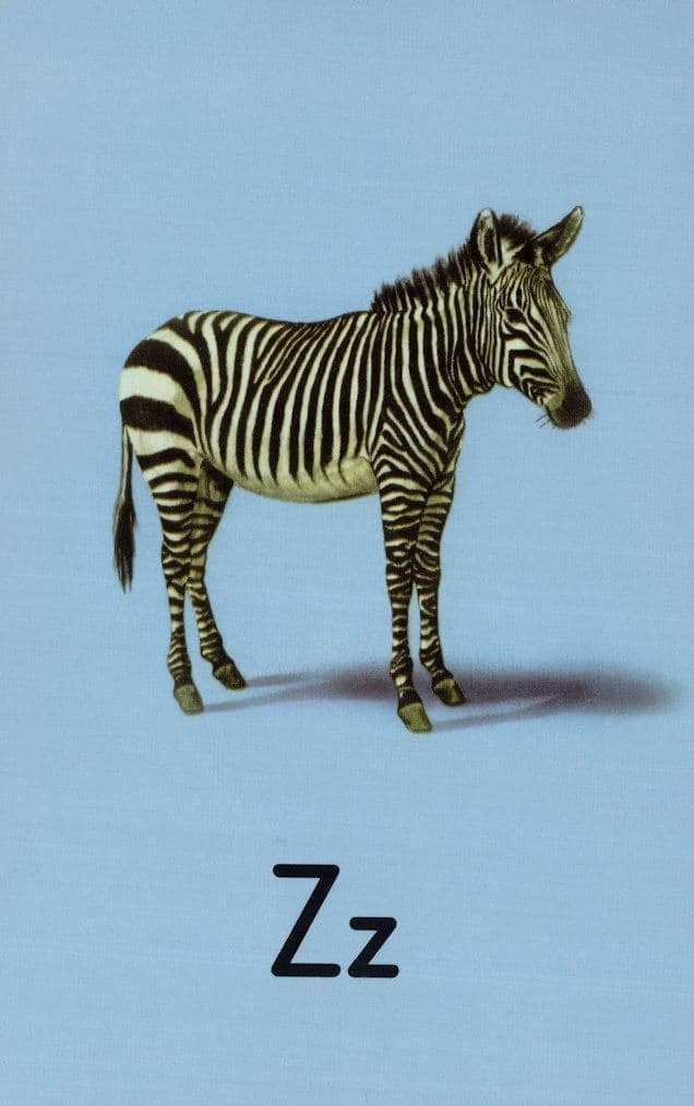 Z Is For Zebra Zoo Vintage Childrens Ladybird Book Postcard | Topics ...