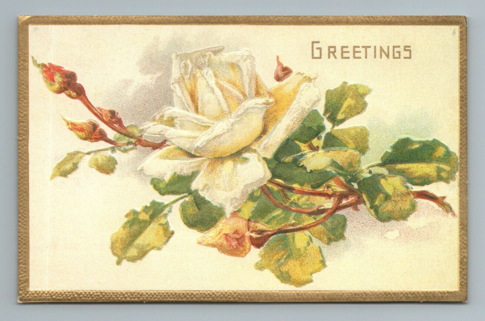 Greetings, Eighty Years of Caring, 90s Hallmark Postcard | Other ...