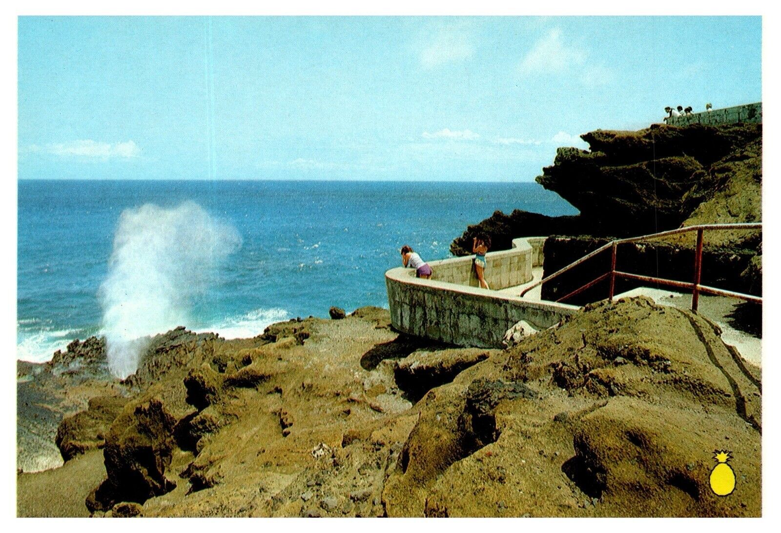 World Famous Blow Hole Water Spout Waves Rocky Volcano Hawaii Chrome ...