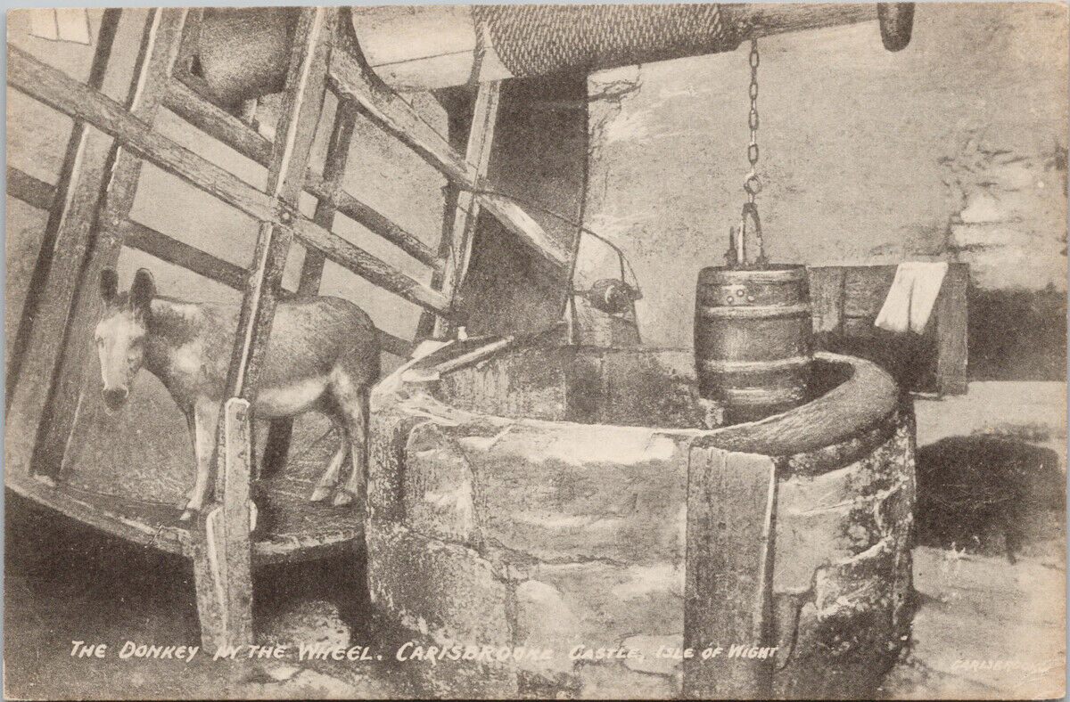 The Donkey In The Wheel Carisbrooke Castle Isle of Wight UK Unused ...