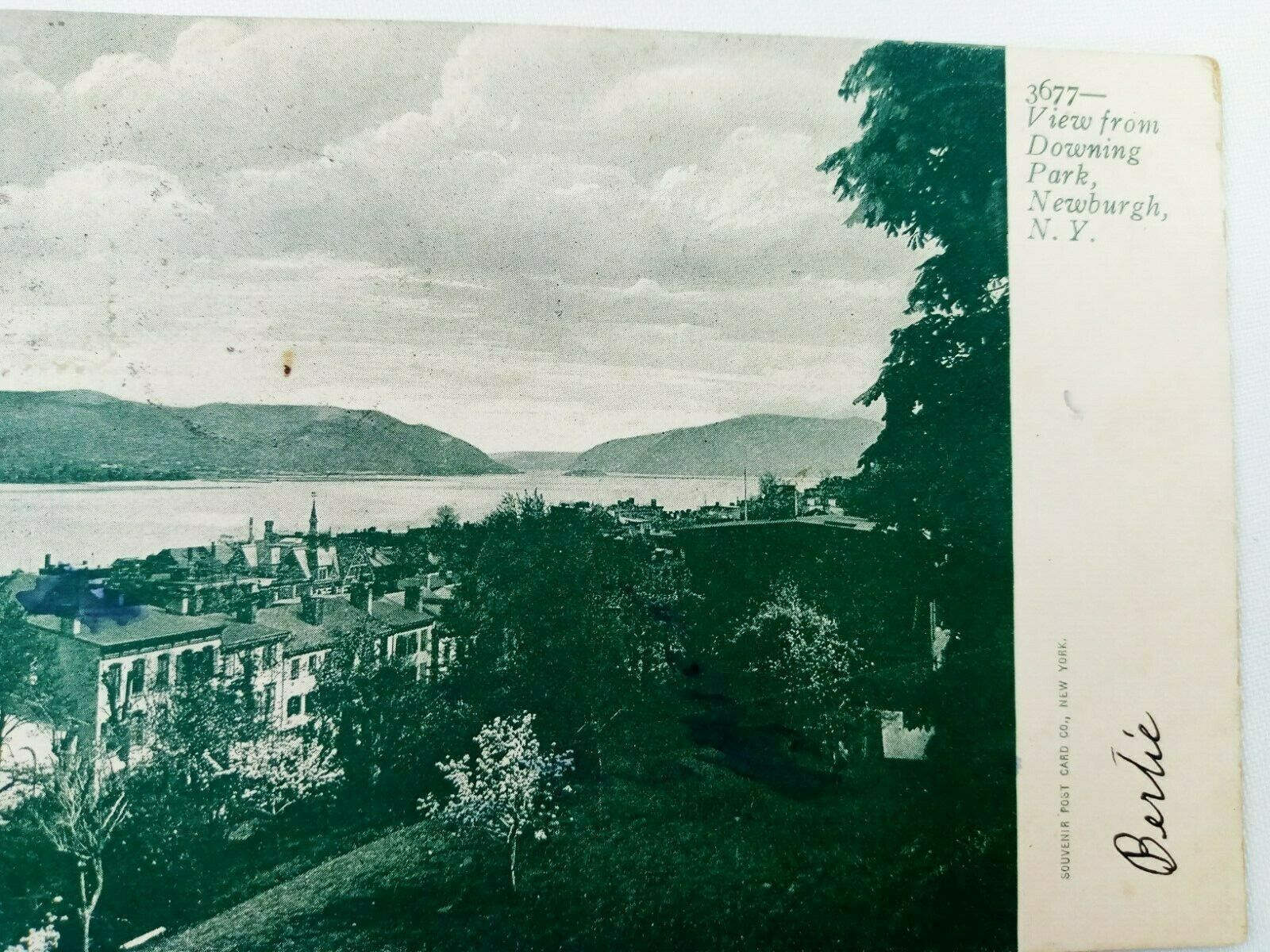 Vintage Postcard 1905 View from Downing Park Newburgh NY Town & Water ...