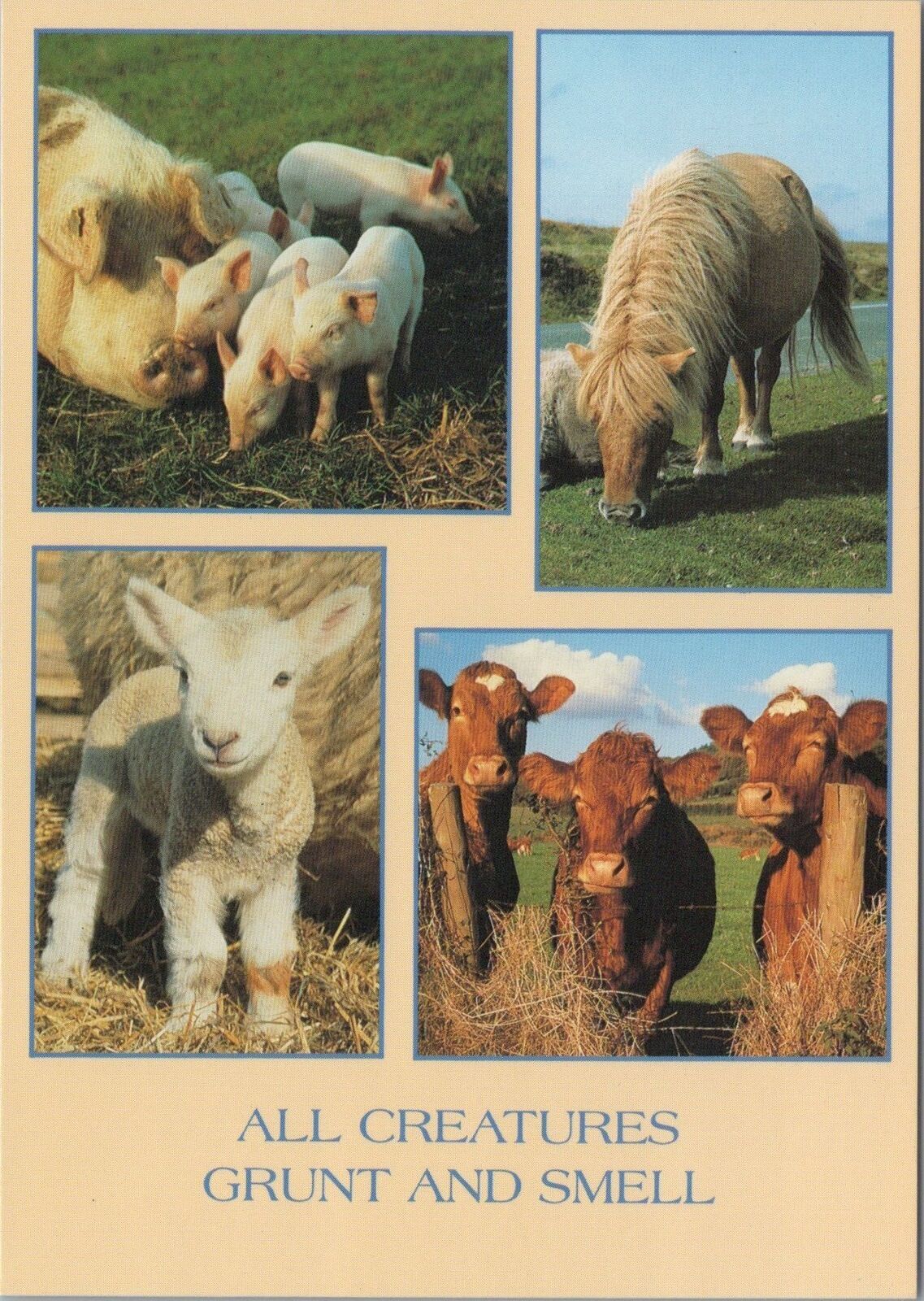 Animals Postcard - Farm Animals, Cows, Pigs, Lamb, Horse / Pony Ref ...