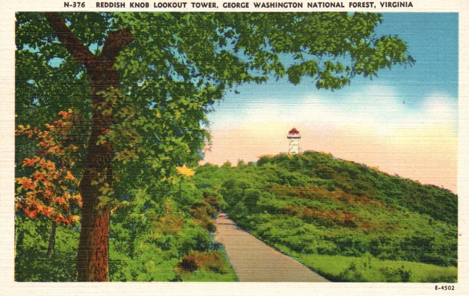 Postcard VA George Washington Nat'l Forest Reddish Knob Lookout Tower ...