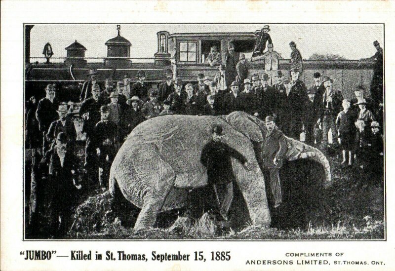 Vintage Circus Disaster Postcard, Jumbo Elephant killed by train, St ...