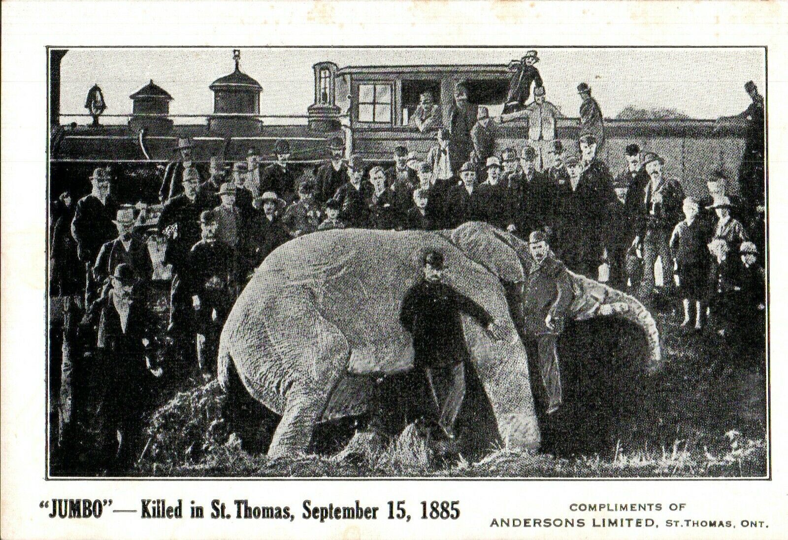 Vintage Circus Disaster Postcard, Jumbo Elephant killed by train, St ...