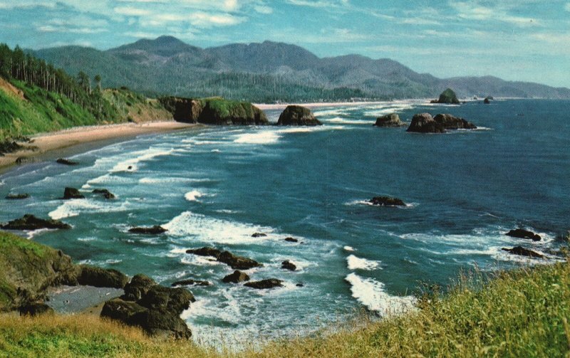 Vintage Postcard Oregon Coast Forest Mountains Waterfalls Rivers Lakes ...