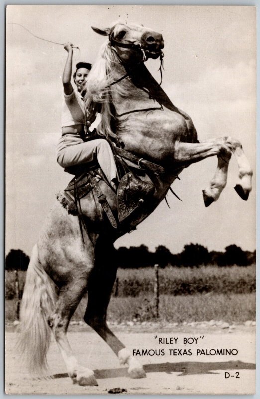 Vtg Famous Riley Boy Texas Palomino Horse Female Rider RPPC Real Photo ...