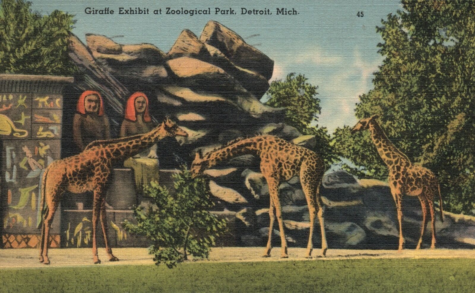 Vintage Postcard 1939 Giraffe Exhibit At Zoological Park Detroit ...