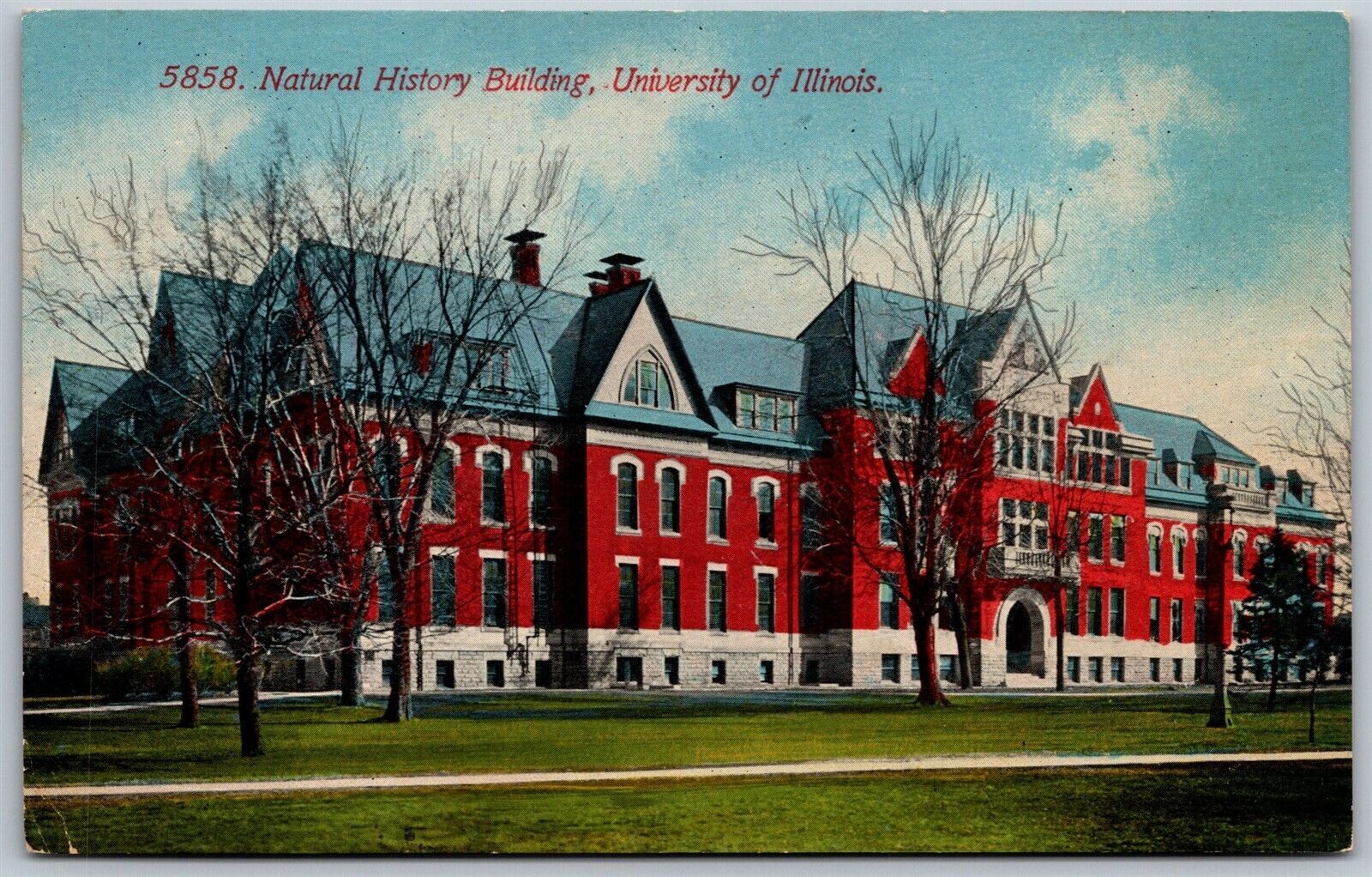 Vtg Champaign IL Natural History Building University of Illinois 1910s ...