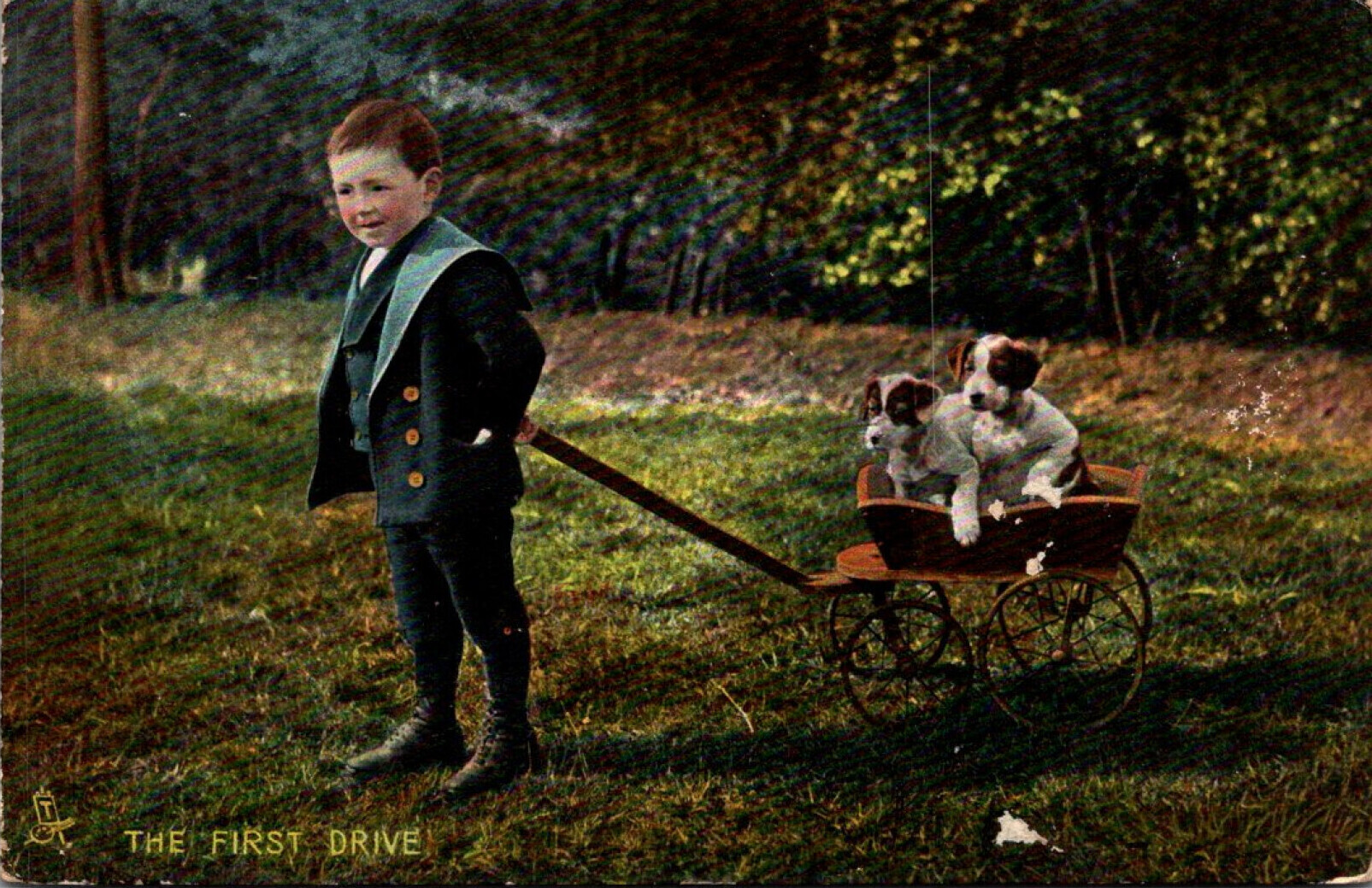 Dogs Young Boy Pulling Puppies In Wagon The First Drive 1906 Tucks ...
