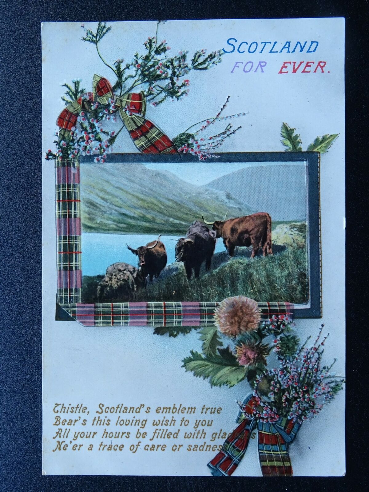 Scotland Greeting SCOTLAND FOR EVER Tartan & Thistle - Old Postcard ...