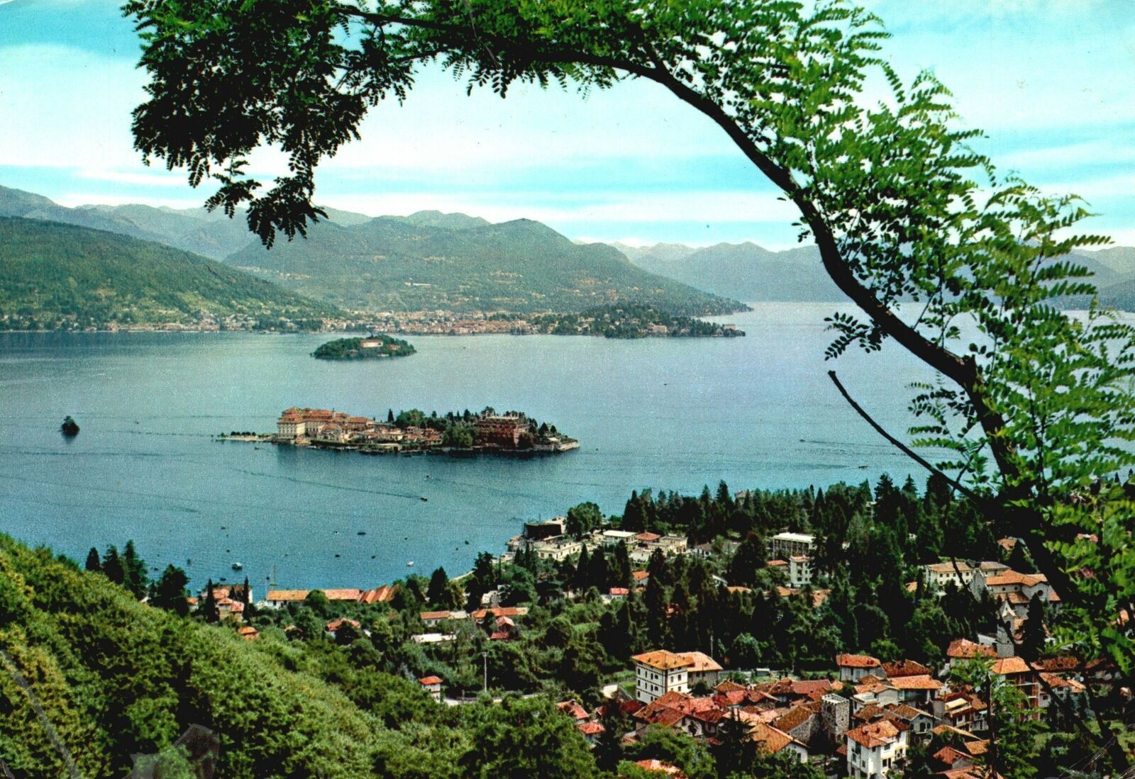 Postcard Panoramic View Of Stresa Isles And Pallanza Maggiore Lake ...