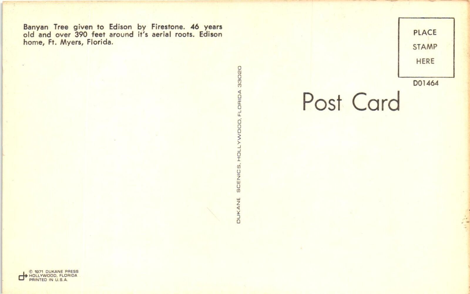 Vintage Postcard- Banyan Tree given to Edison by Firestone, Edison home ...