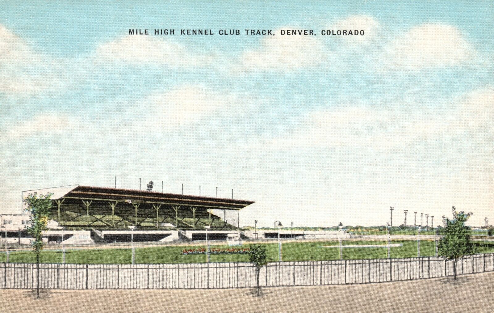 Vintage Postcard Mile High Kennel Club Track Dog Race Track Denver ...