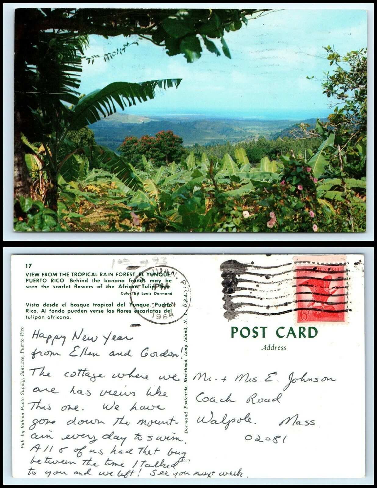 PUERTO RICO Postcard - El Yunque, View From Tropical Rain Forest M19 ...