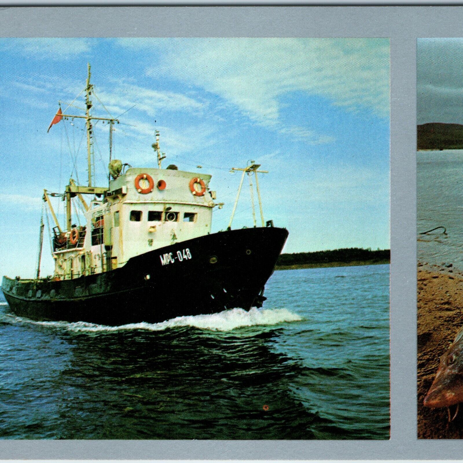 1975 Khabarovsk, Soviet Union Fishing Boat Flotilla Postcard Ship USSR ...