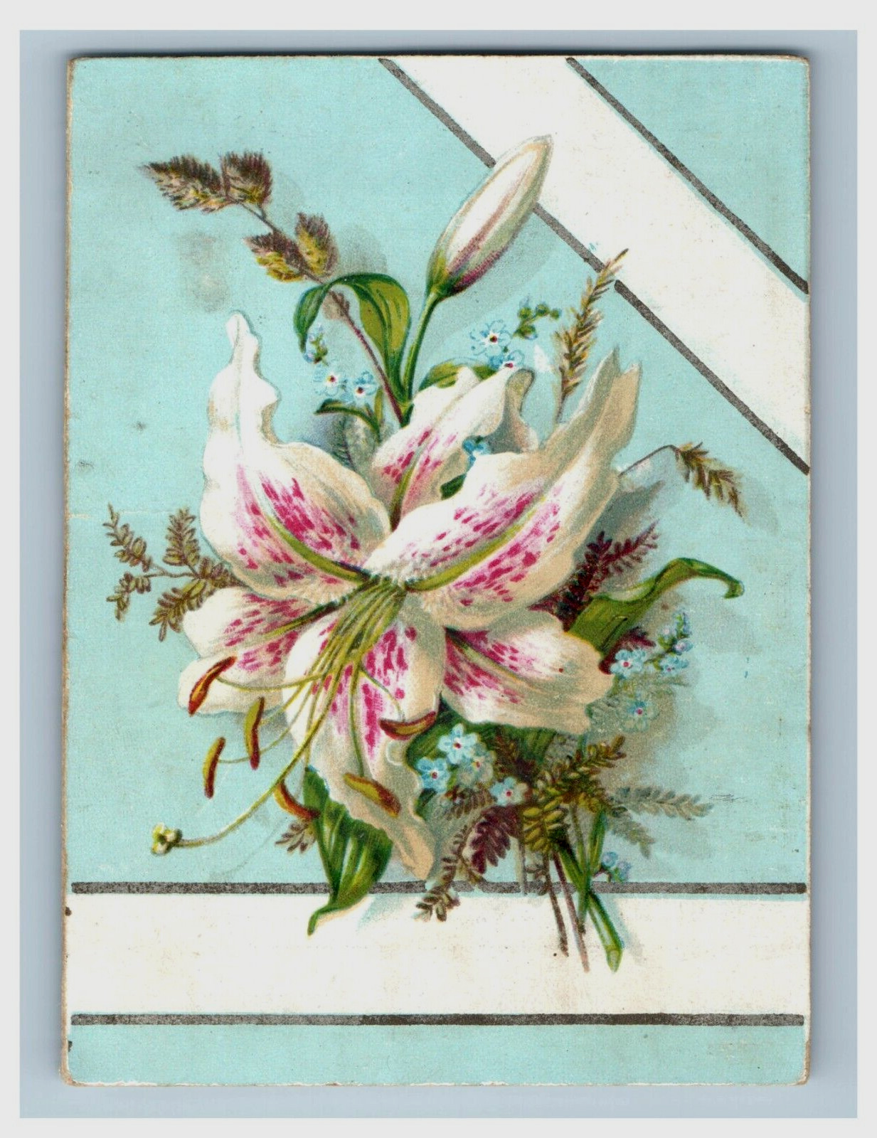 1880s Two Part Victorian Folder Card Lovely Lilies Sun Rays Clouds Fab ...