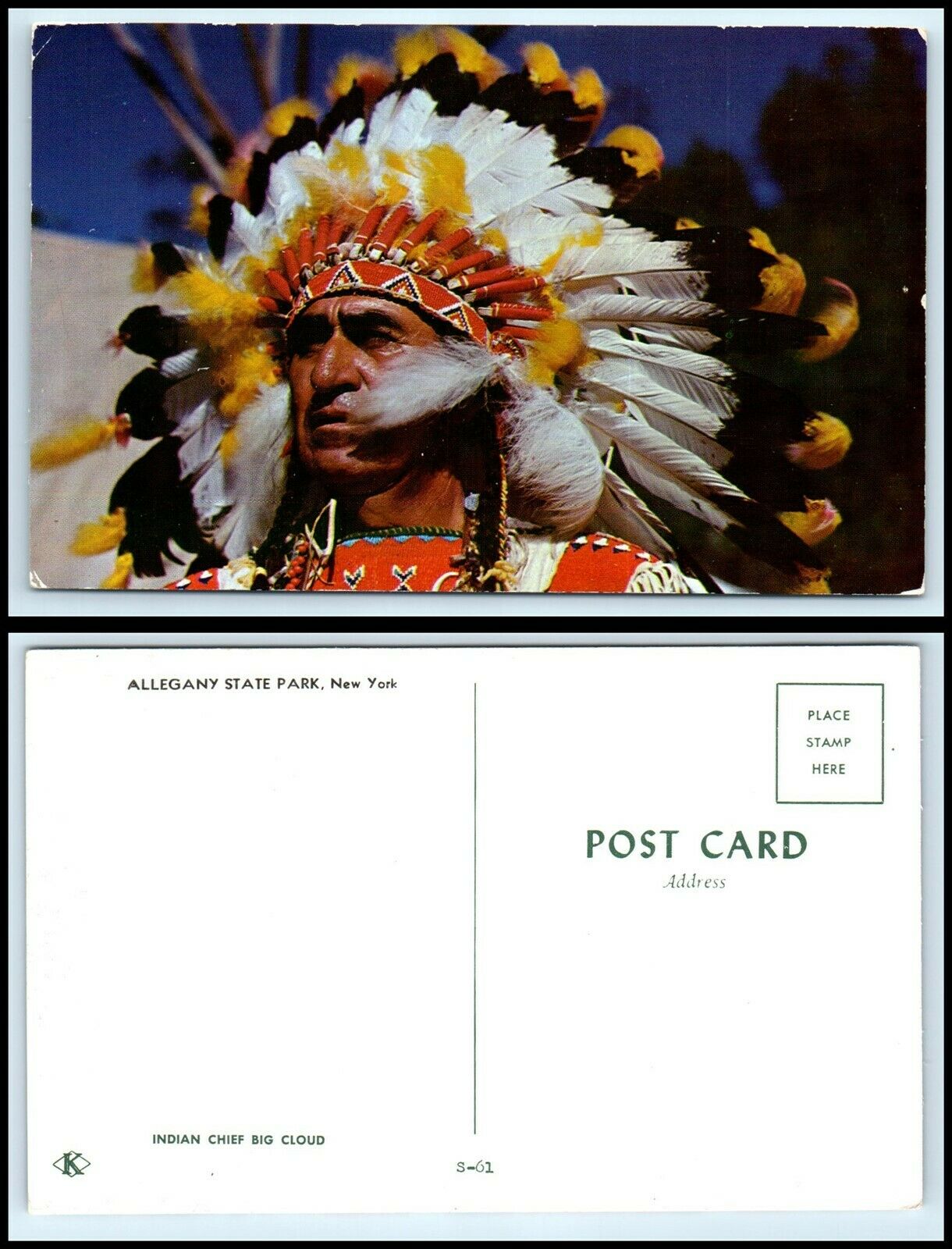 Vintage Postcard - Native American Indian, Chief Big Cloud, New York ...