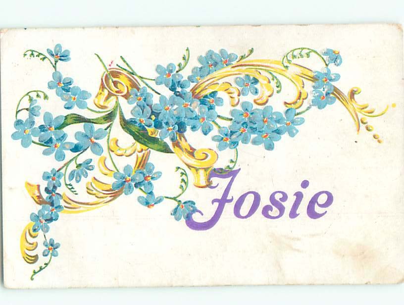C1910 Josie in BIG Letters With Forget-Me-Not Flowers Ac5075 | Topics ...