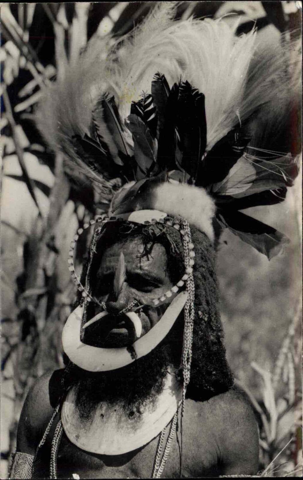 New Guinea Headman Native Black Man Ethnography Piercings & Jewelry ...