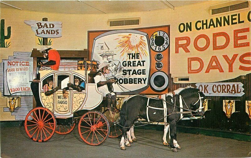 Chimp Show Detroit Zoological Park Royal Oak Michigan Shelton Postcard ...