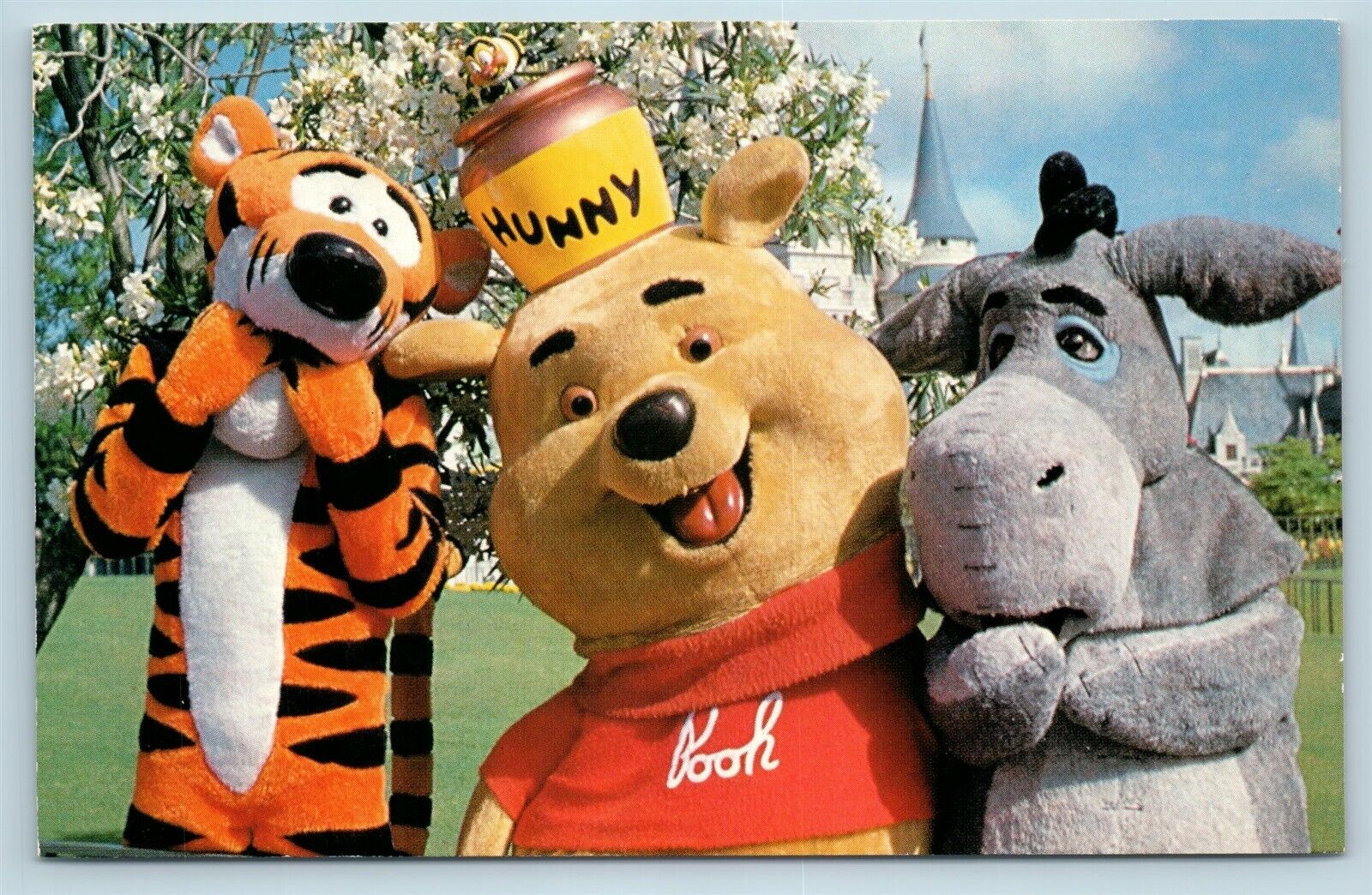 Postcard FL Walt Disney World Tigger Pooh Eeyore Magic Kingdom M05 ...