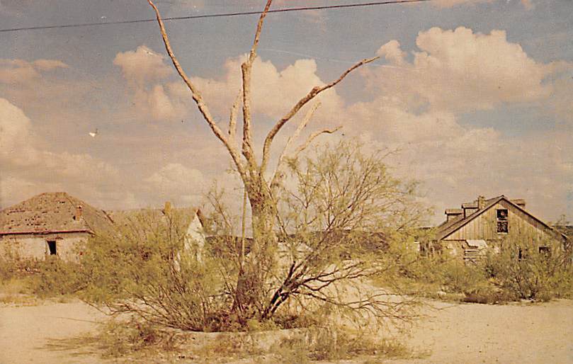 The Hanging Tree Judge Roy Bean - Del Rio, Texas TX | Topics - Flowers ...