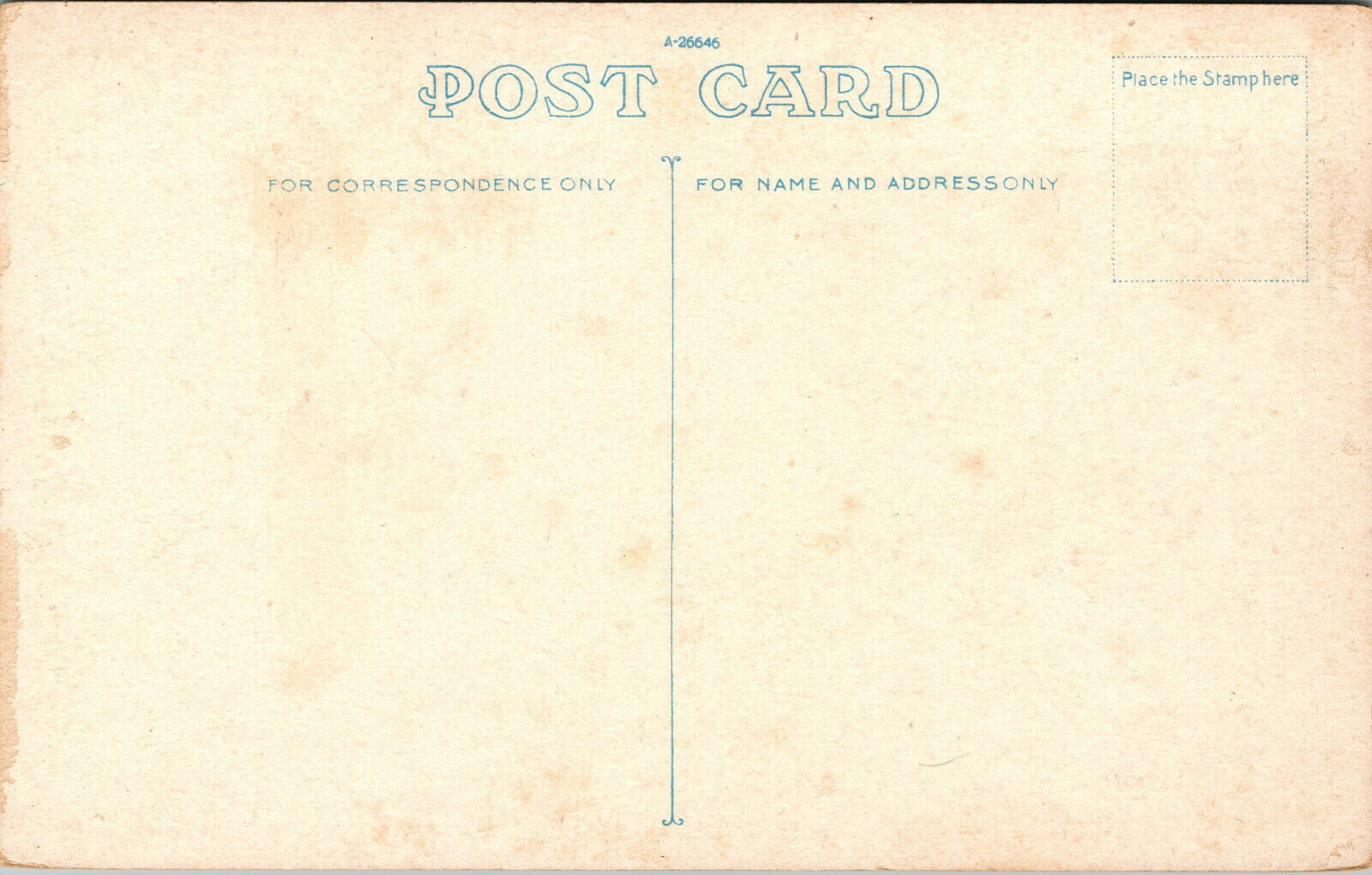 Vtg 1920s Palm Tree Entwined with Night Blooming Cereus Florida FL ...