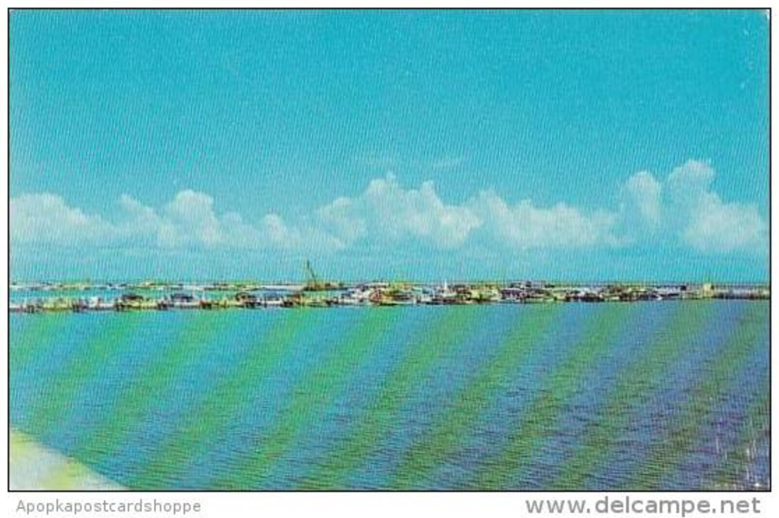 Texas Corpus Christi Yacht Basin Can Provide Mooring Space For 250 To ...