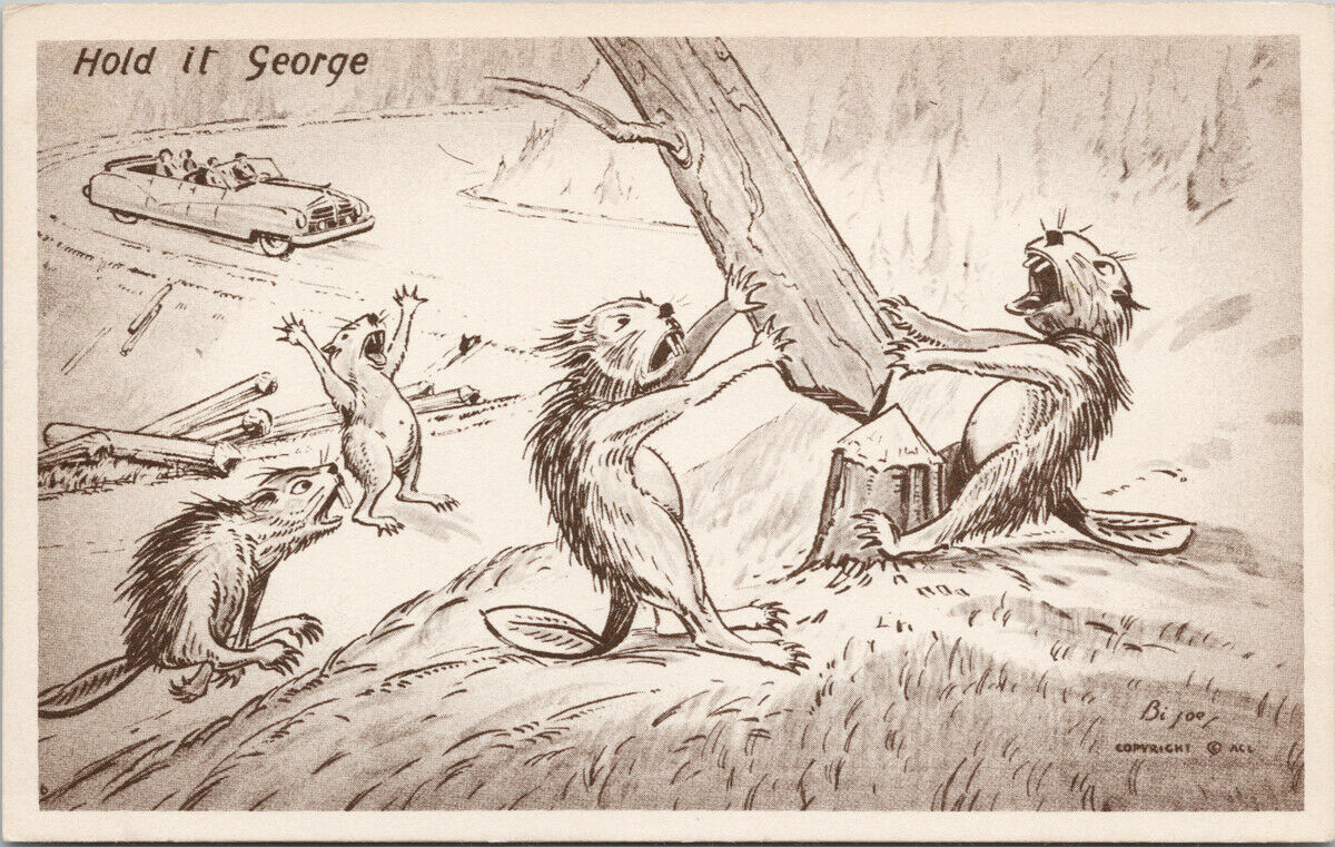 'Hold It George' Beavers Cutting Down Tree Automobile Car Bi-Joe ...