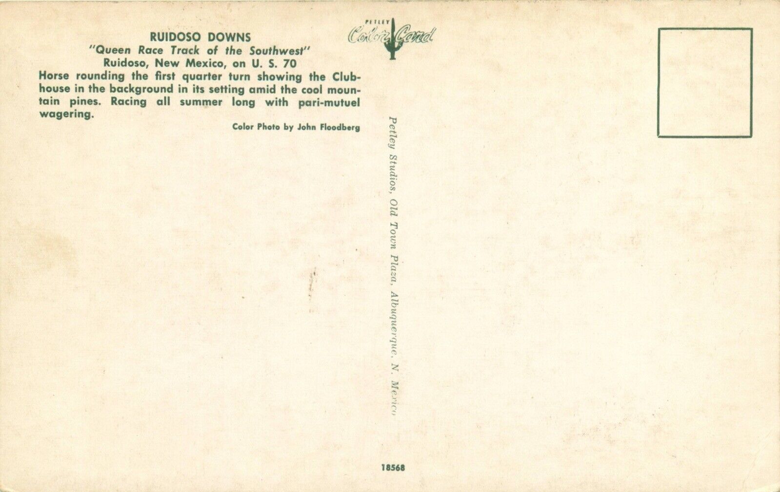 1950s Ruidoso Downs New Mexico , Horse Racing - Vintage Postcard ...