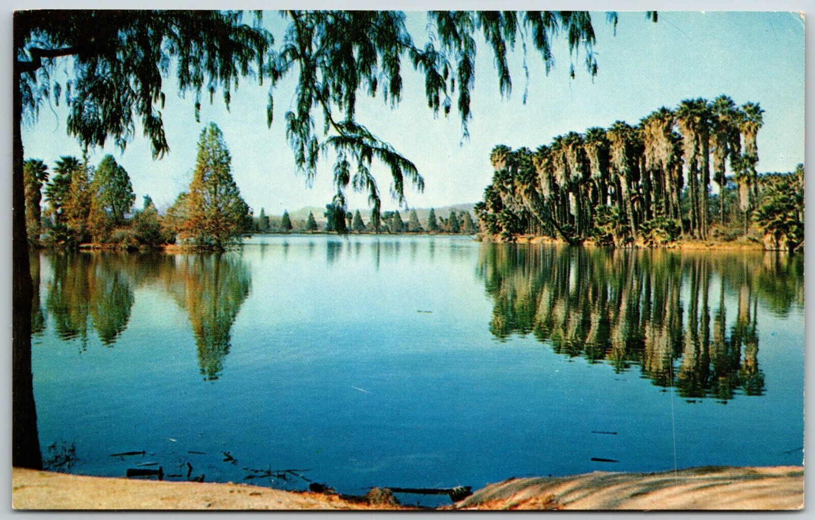 Lake Evans, Fairmont Park, Riverside, California - Postcard | United ...