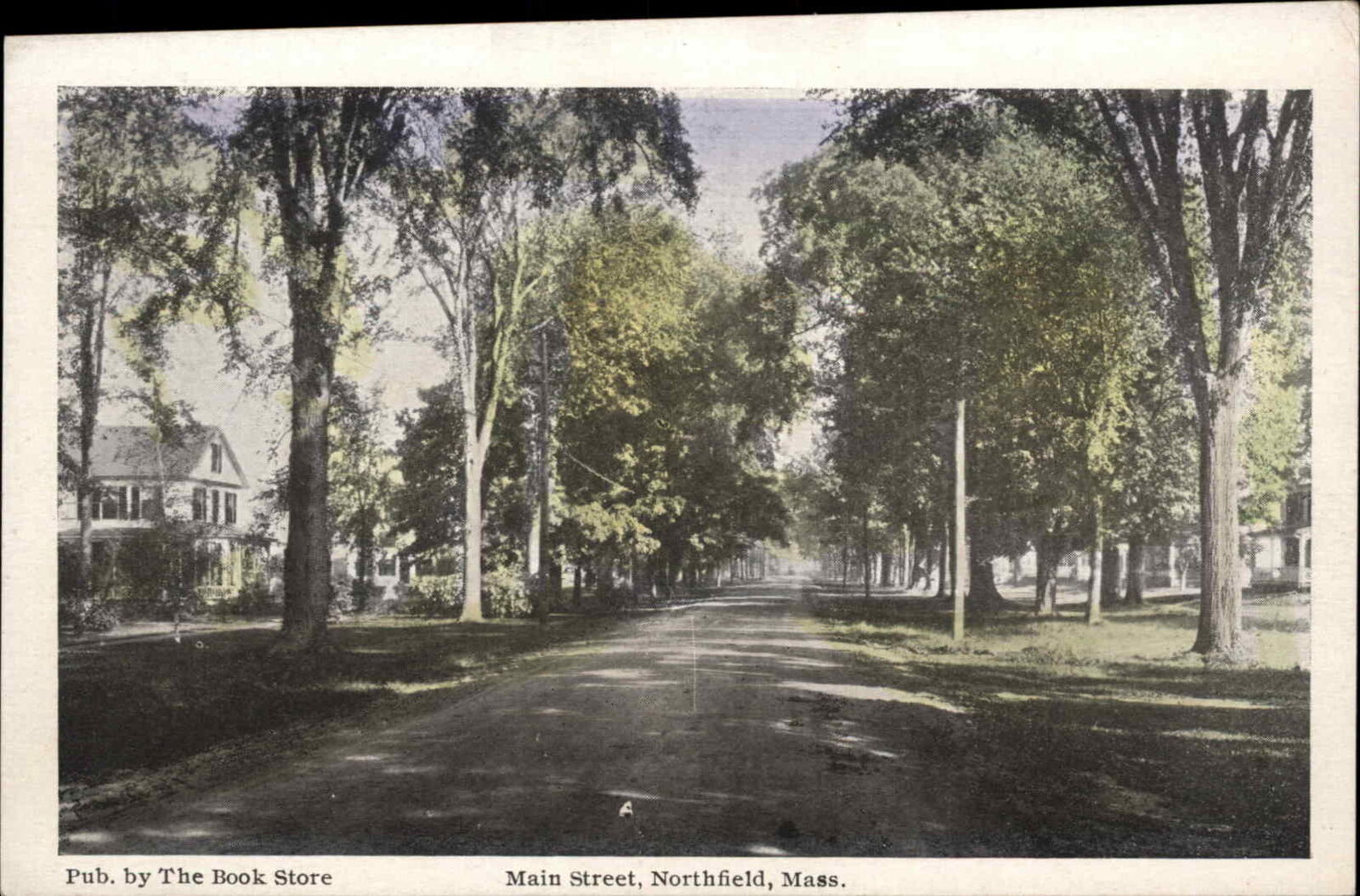 Northfield Massachusetts MA Main St Frank W Swallow c1900s-20s Postcard ...
