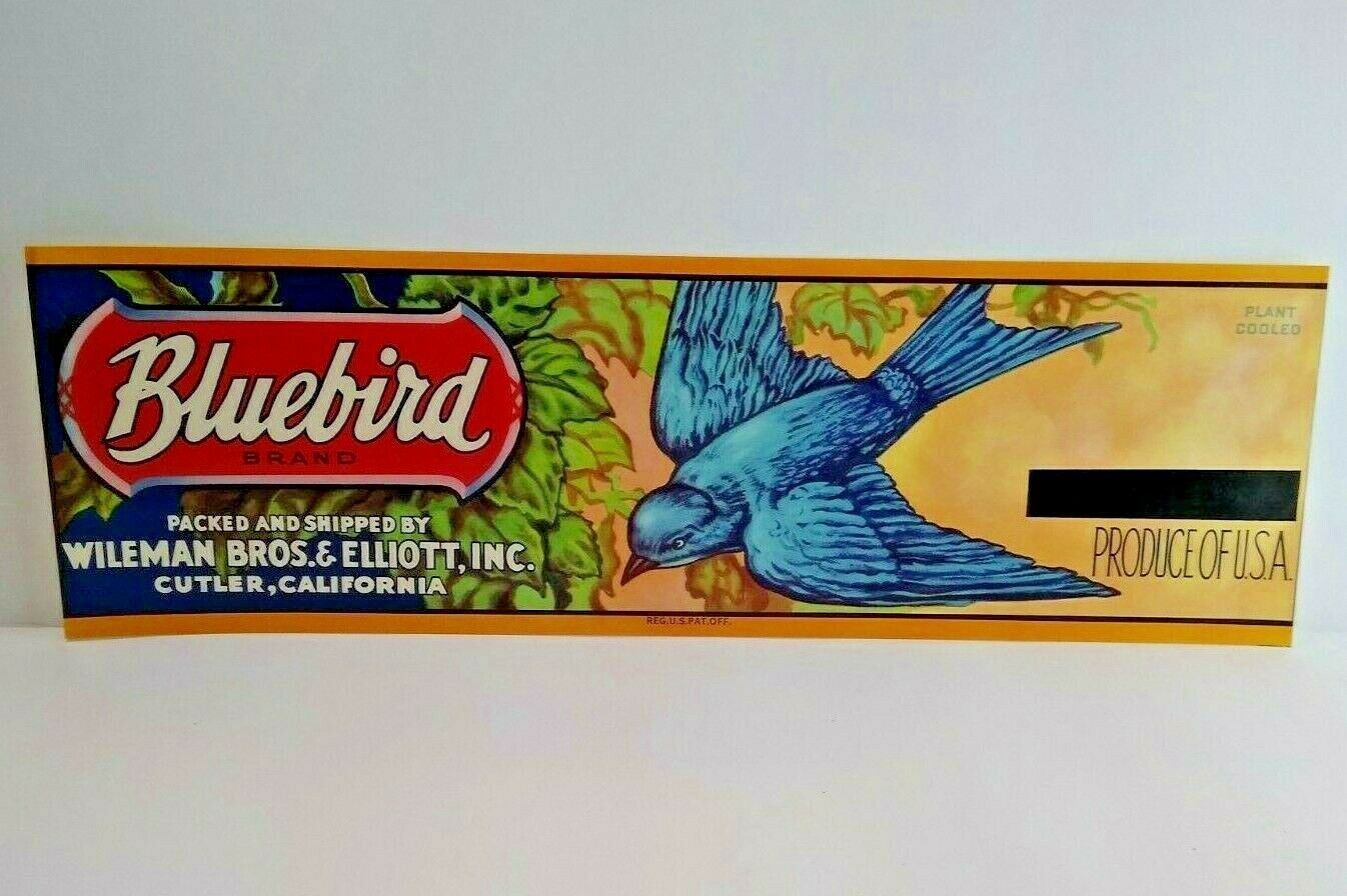 Bluebird Fruit Crate Label Flying Bird Wileman Bros Original Vintage ...