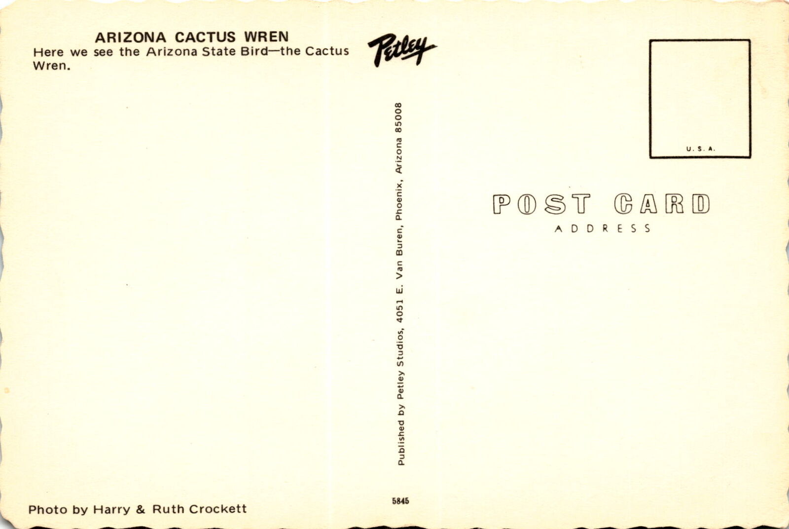 Arizona, State Bird, Cactus Wren, deserts, southwestern United States ...