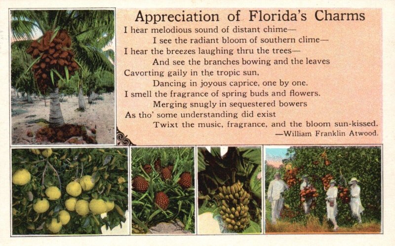 Appreciation of Florida's Charms, FL, Multi View, Poem, Vintage ...