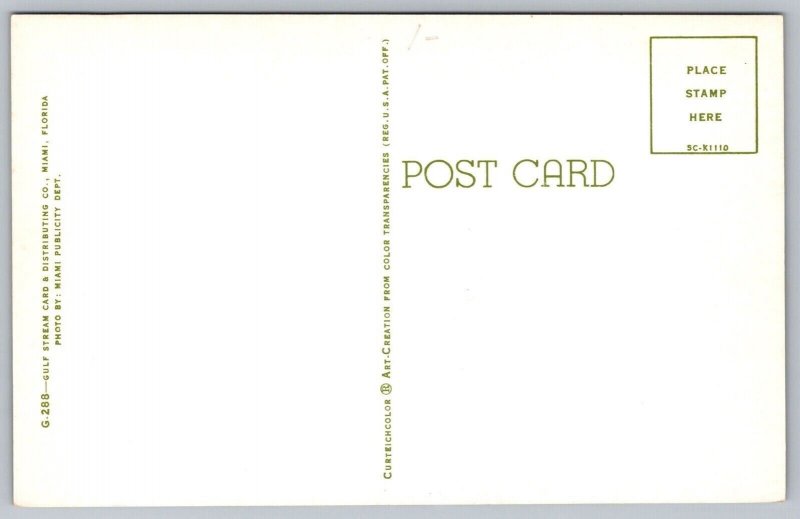 Hello Miami Florida Birds Eye View Skyscrapers Shoreline Oceanfront VNG ...