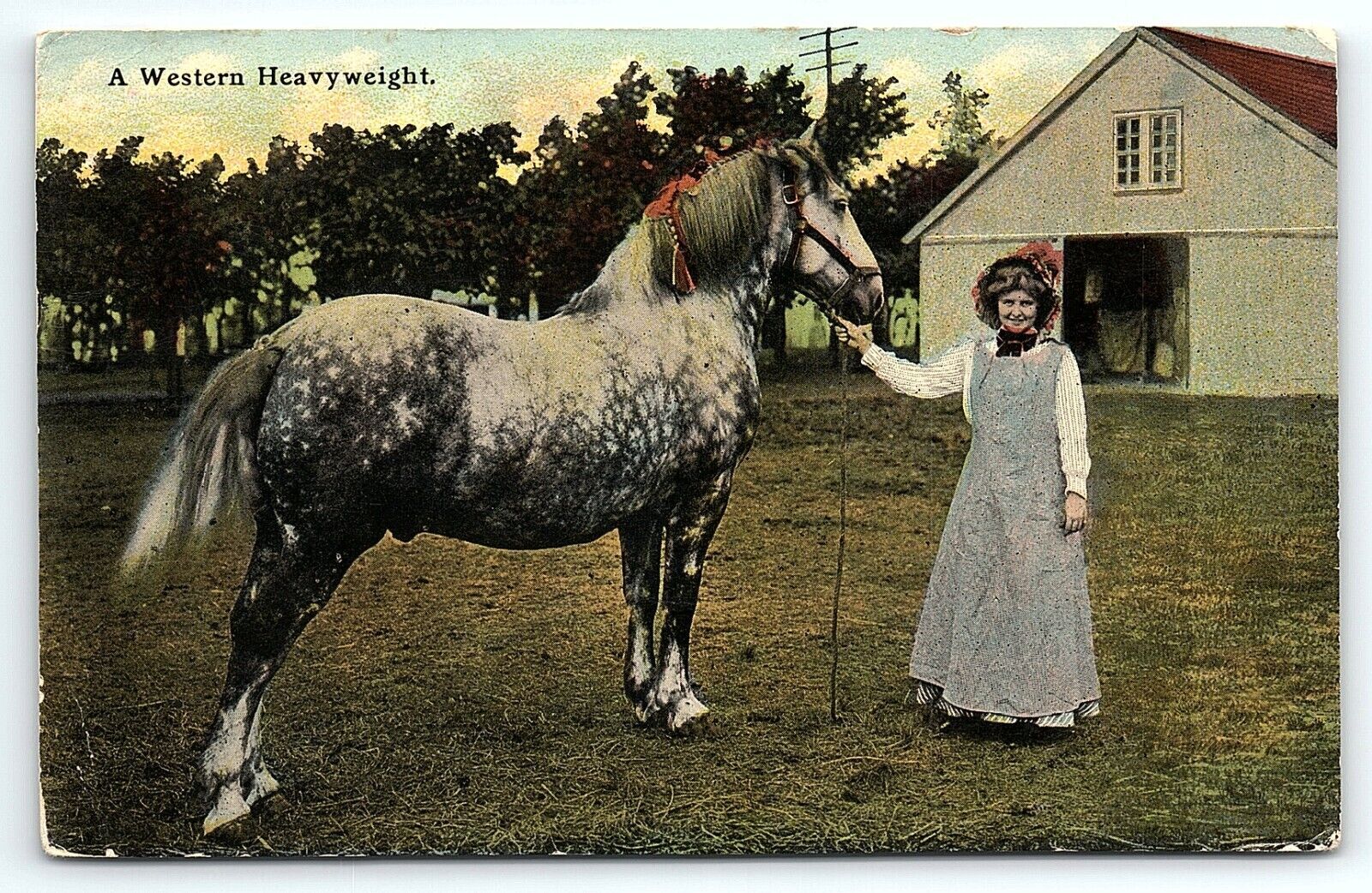 1911 Lady With a Western Heavyweight Stallion Souix Falls SD Postcard ...