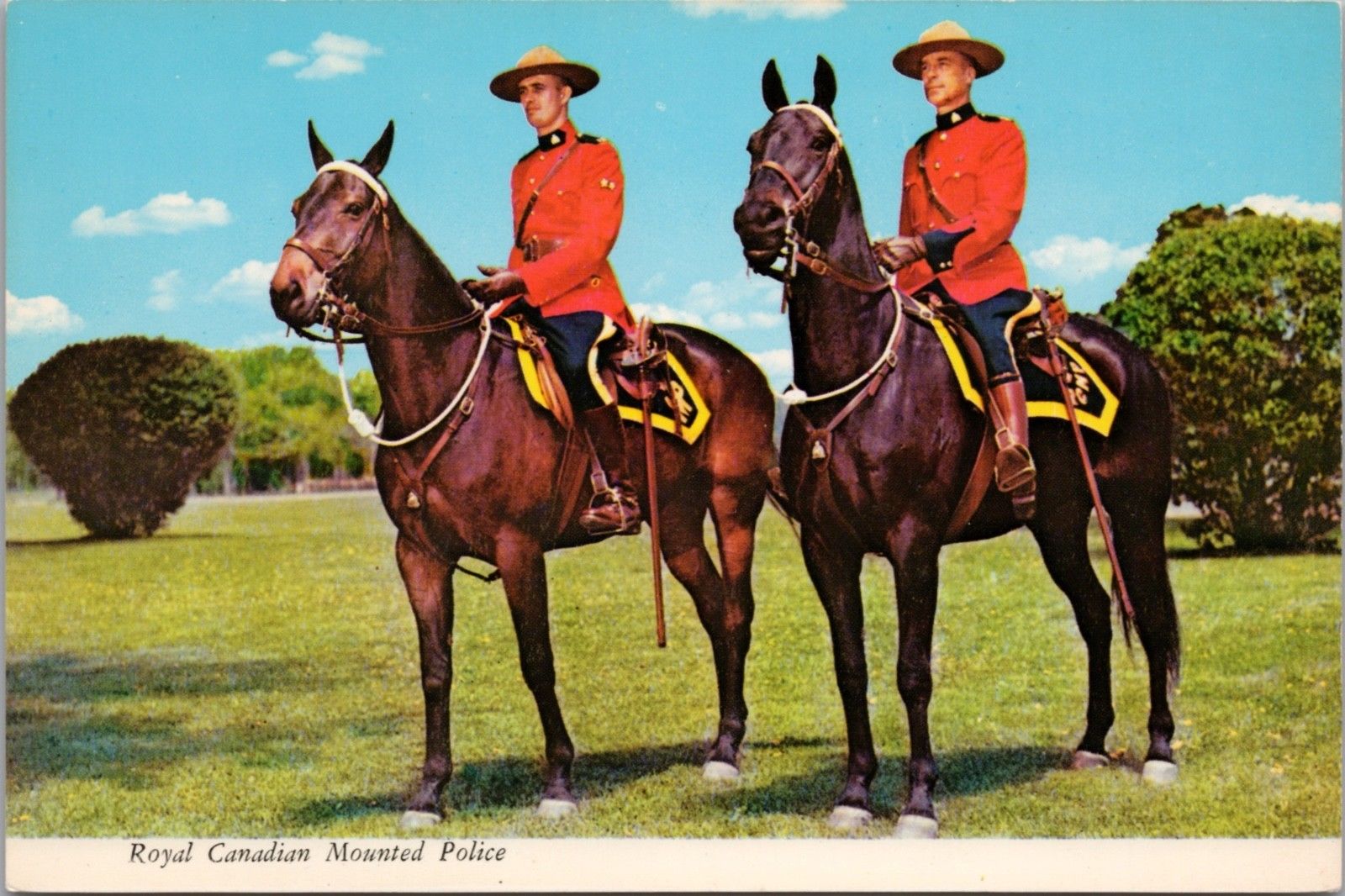 RCMP Mounties Royal Canadian Mounted Police Horses Unused Vintage ...