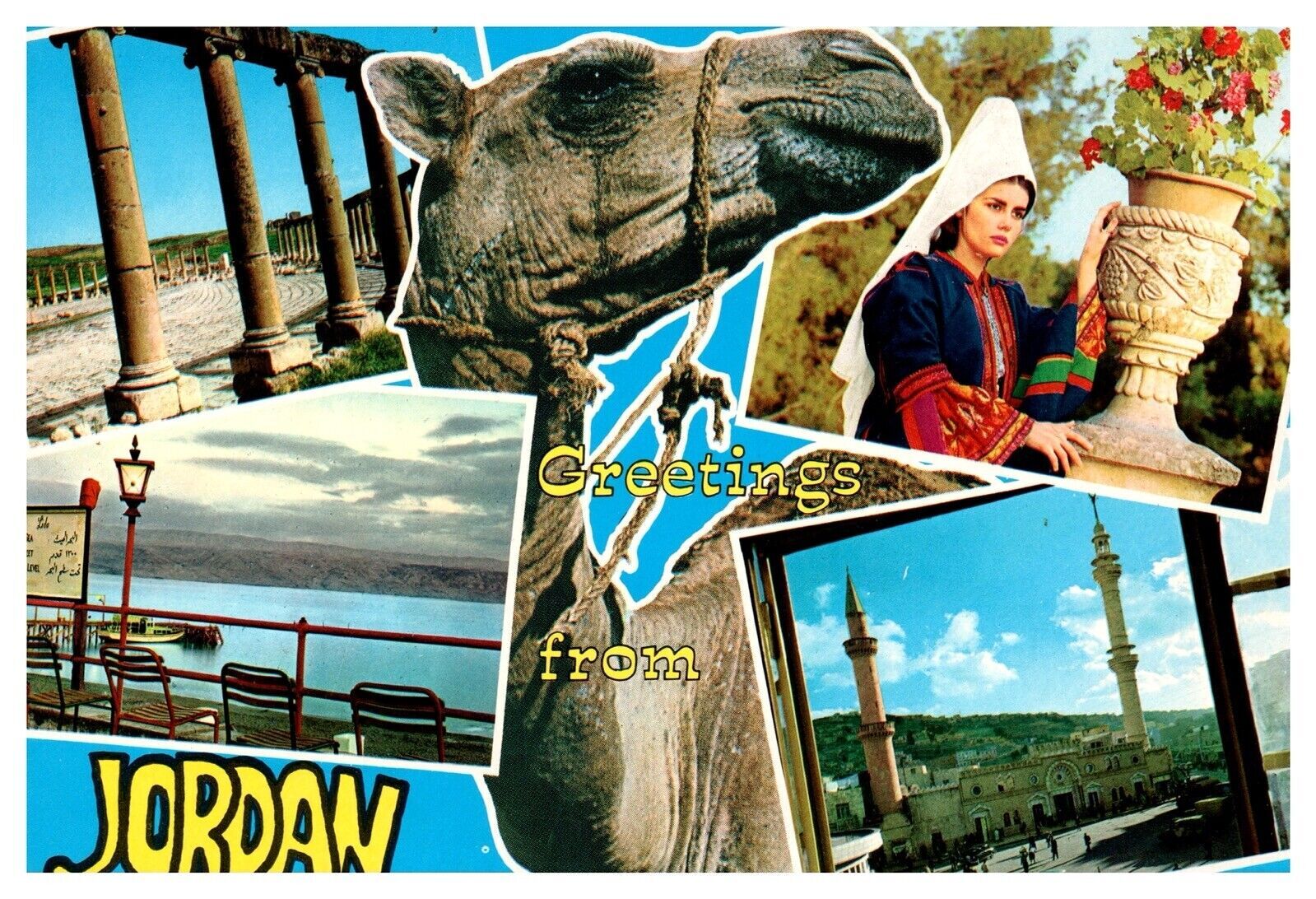 Multi View Jorday Camel Amman Jordan City Columns Chrome Postcard UNP ...