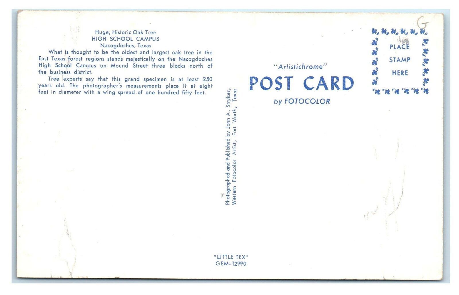 NACOGDOCHES, Texas TX ~ Historic Oak Tree HIGH SCHOOL CAMPUS c1950s-60s ...