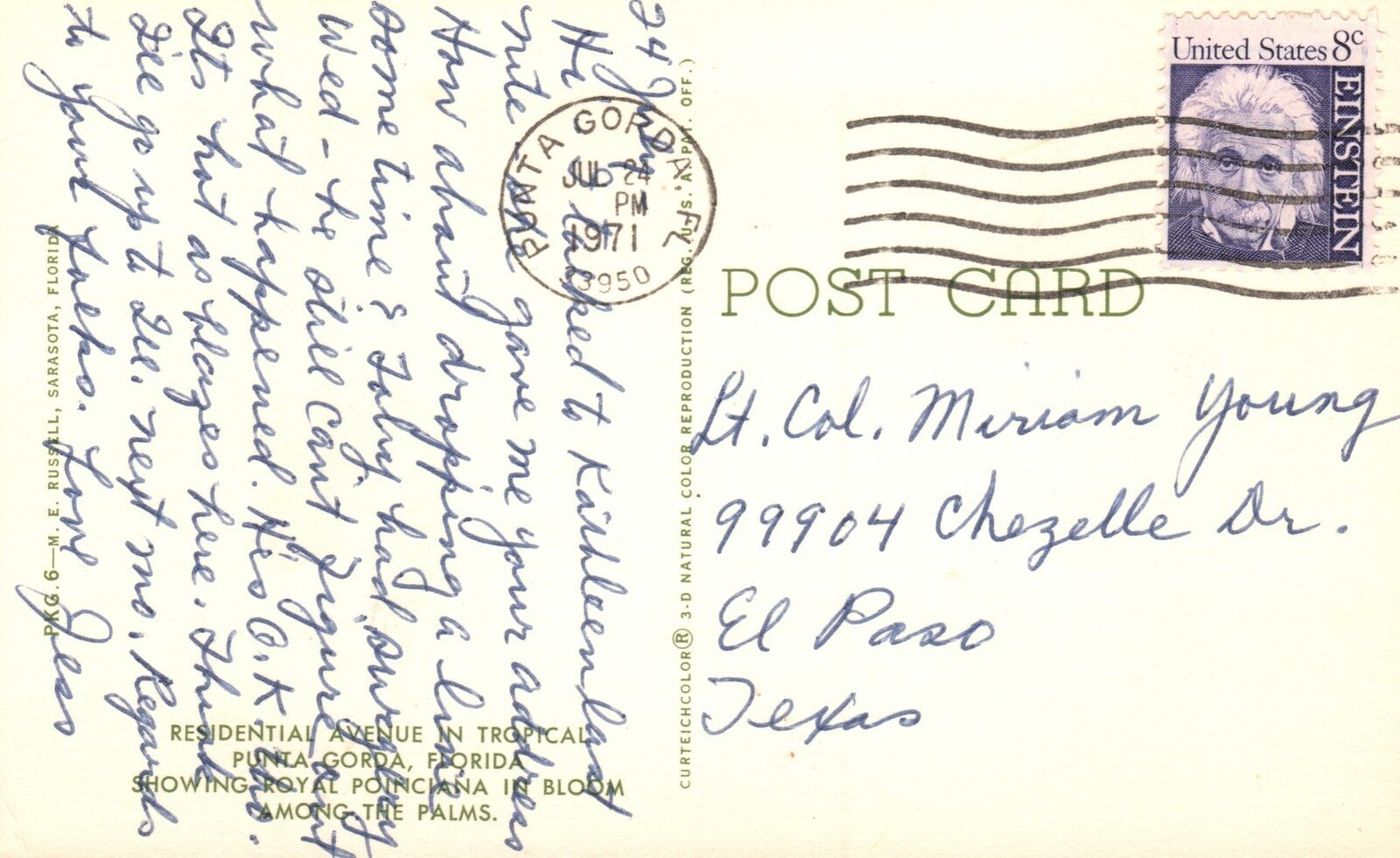 Vintage Postcard 1971 Royal Poinciana Palms in Bloom Punta Gorda Avenue ...