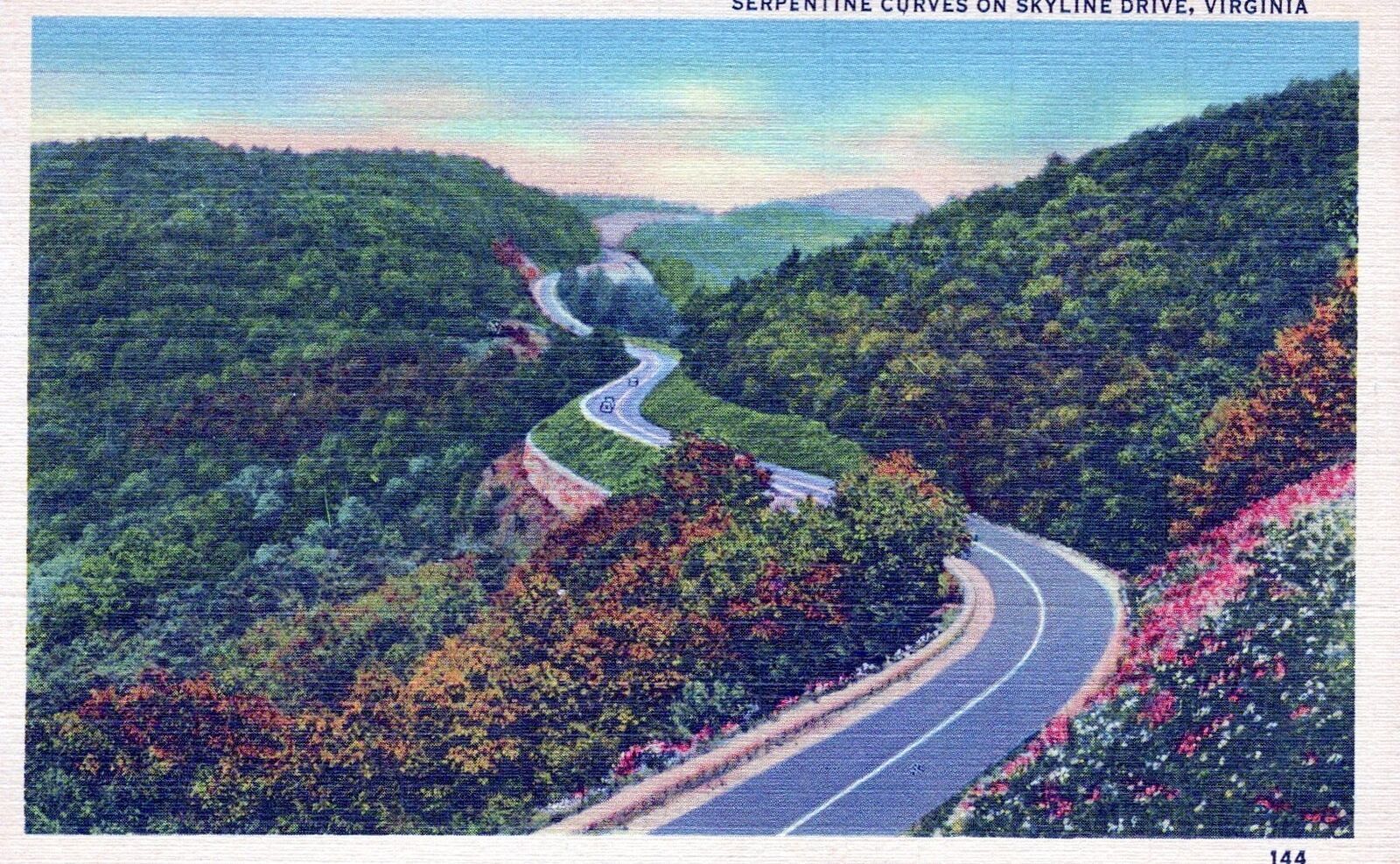 Vintage Postcard Serpentine Curves on Skyline Drive Virginia Mailed ...