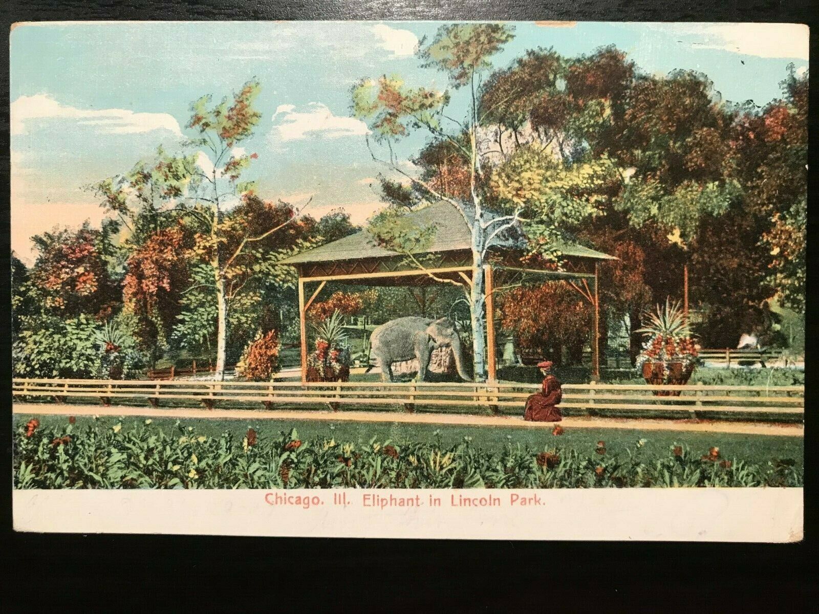 Vintage Postcard 1907 Elephant Lincoln Park Zoo Chicago Illinois ...