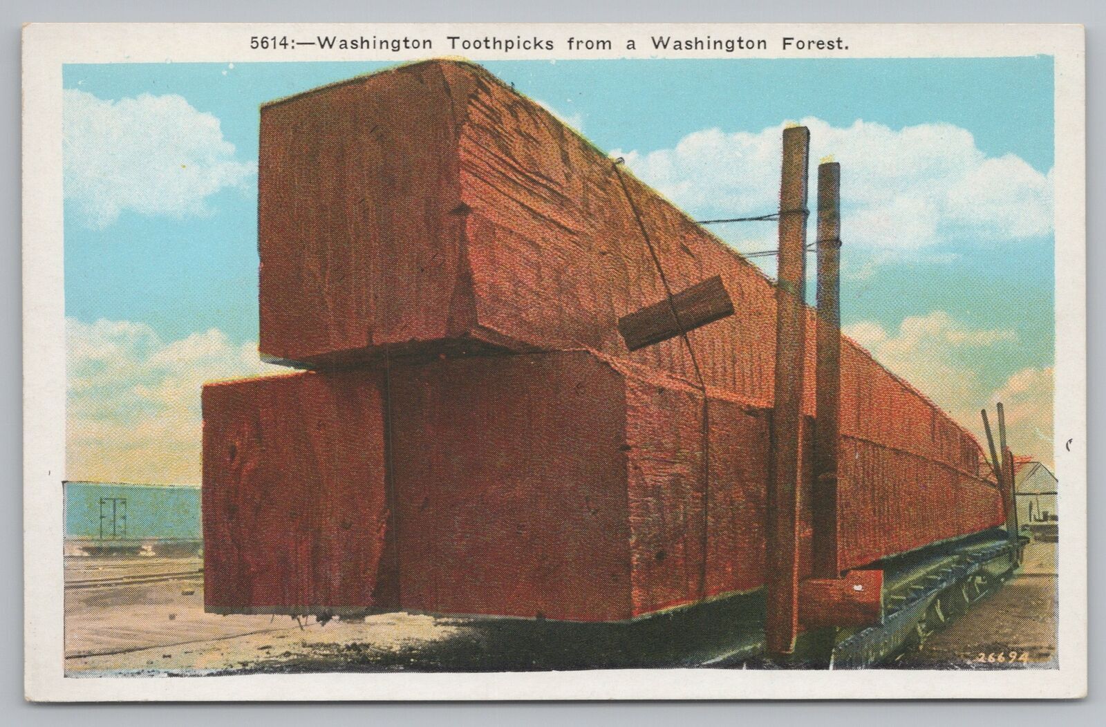 Washington~Washington Toothpicks From Forest In Train Yard~Vintage ...